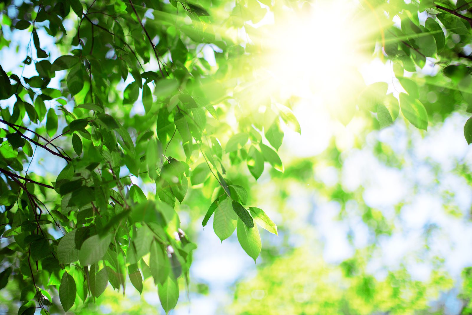 DataSafe’s Green Statistics for Paper Shredding in Portland, OR